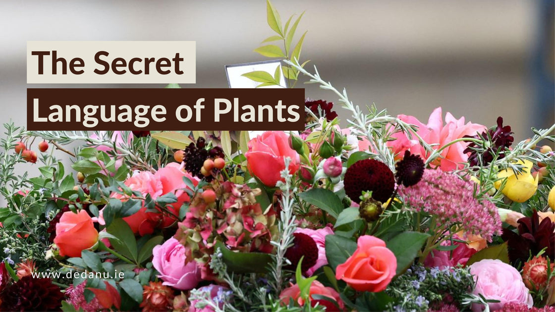 A closer look at the rich symbolism in the burial wreath of Queen Eliz ...